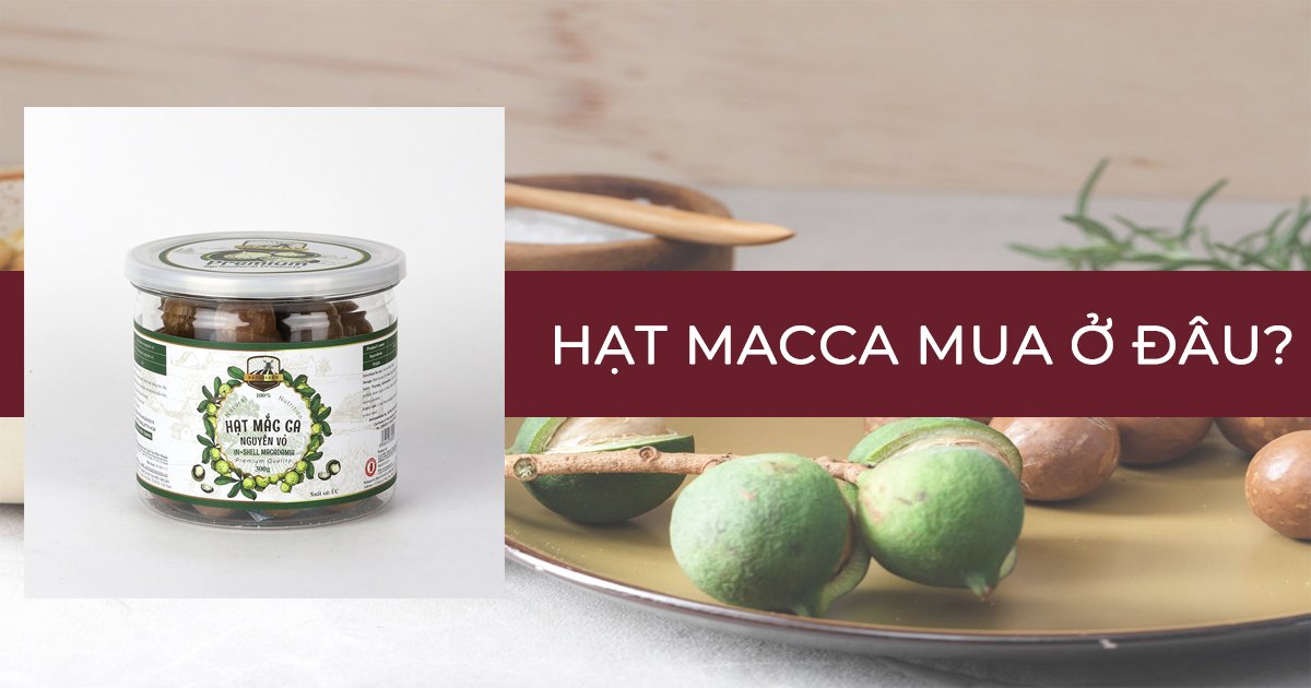 Mua hạt macca ở đâu đảm bảo chất lượng và giá cả tốt nhất