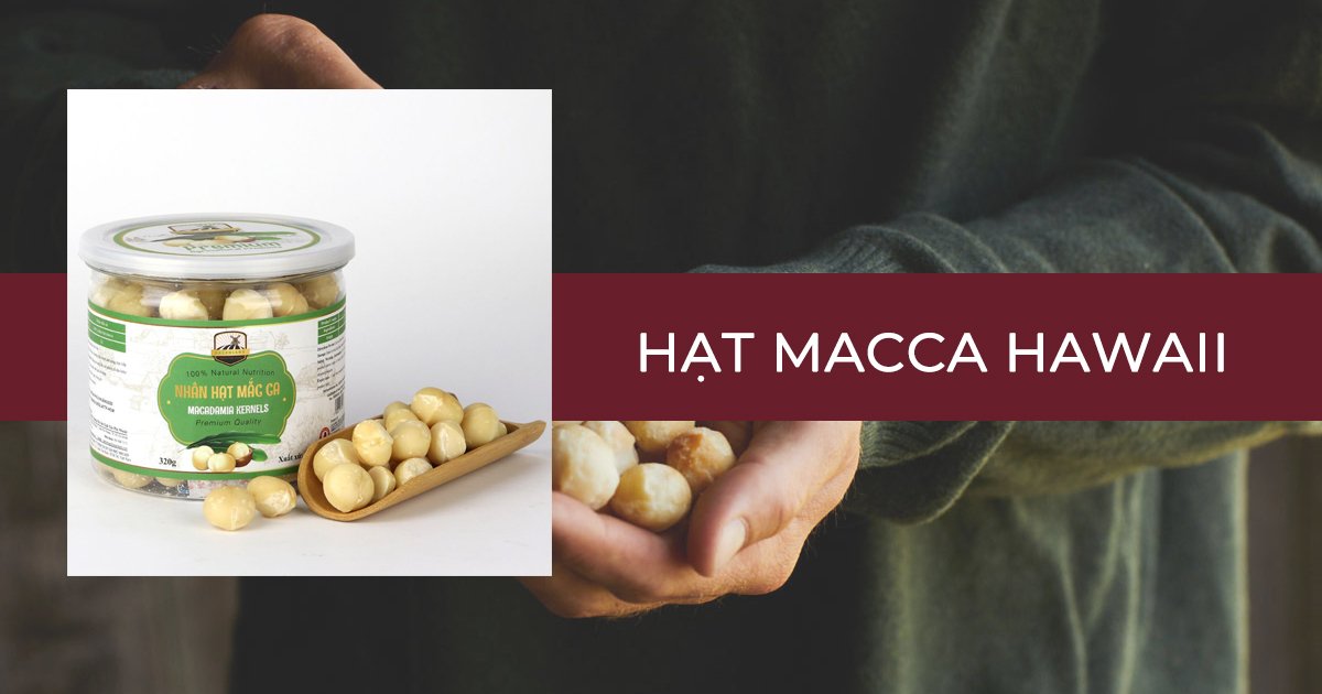 Hạt macca Hawaii - Thông tin hữu ích bạn nên biết khi mua